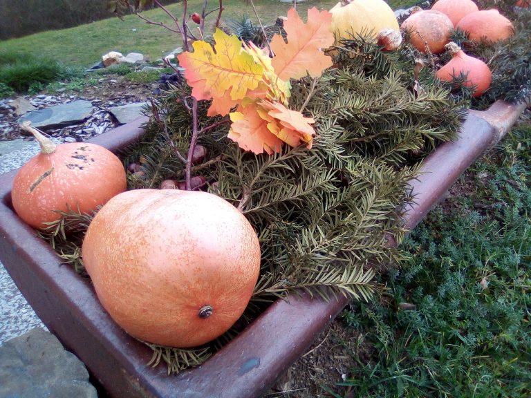 Doogee X11 recenze: Android za 1 500 Kč – SMARTmania.cz